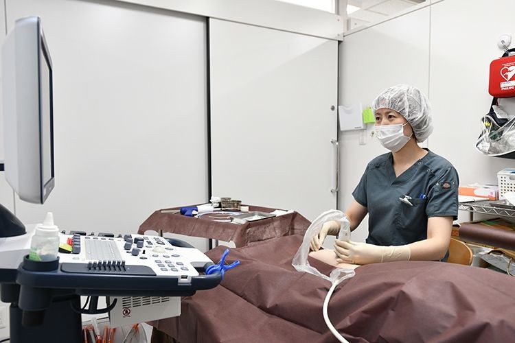 Helene BioMed: Premier Stem Cell Therapy in Japan & UK